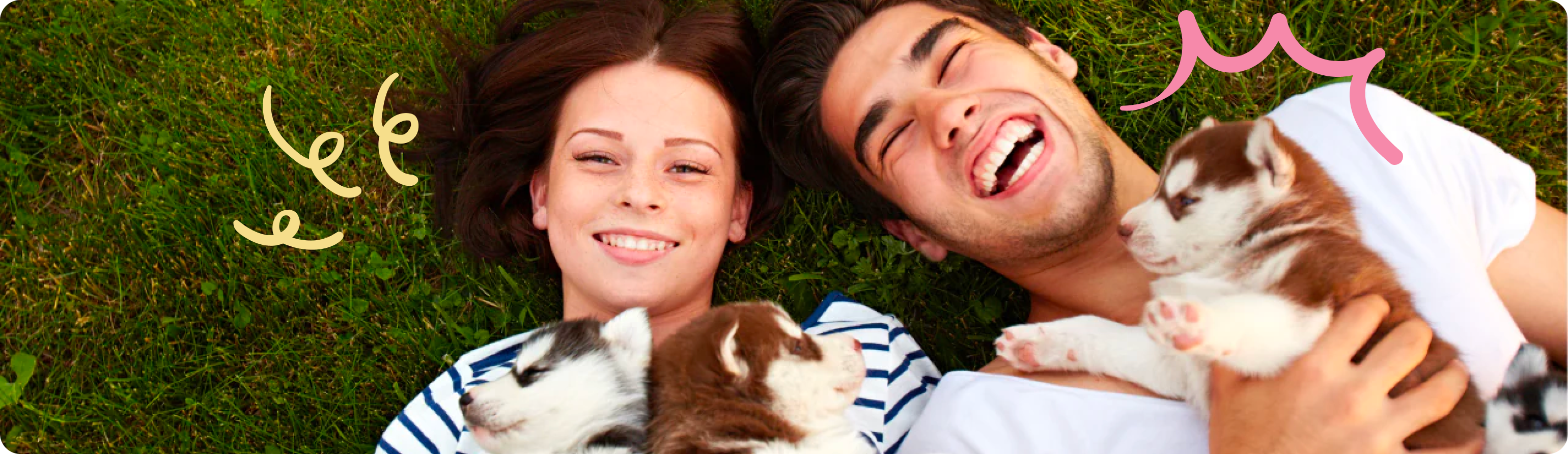 Certified Breeders | Honestpet
